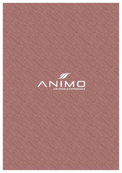 Catalogue de poêle à granulés Animo - Flammes & Design